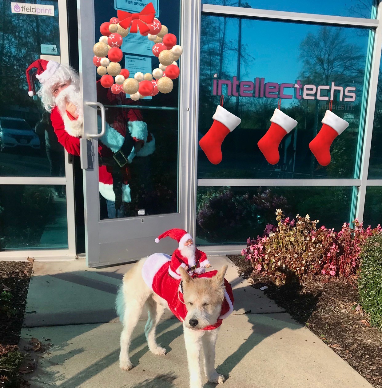 Party | IntellecTechs